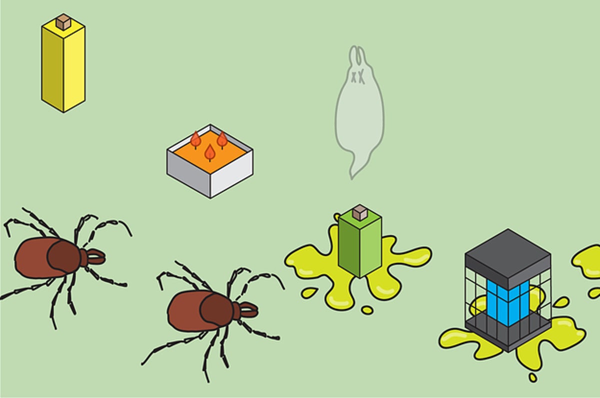 Ticks Are The Worst: How To Avoid (And Remove) Them