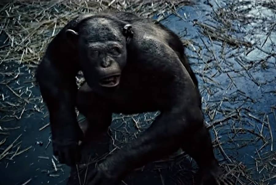 Rocket Planet Of The Apes