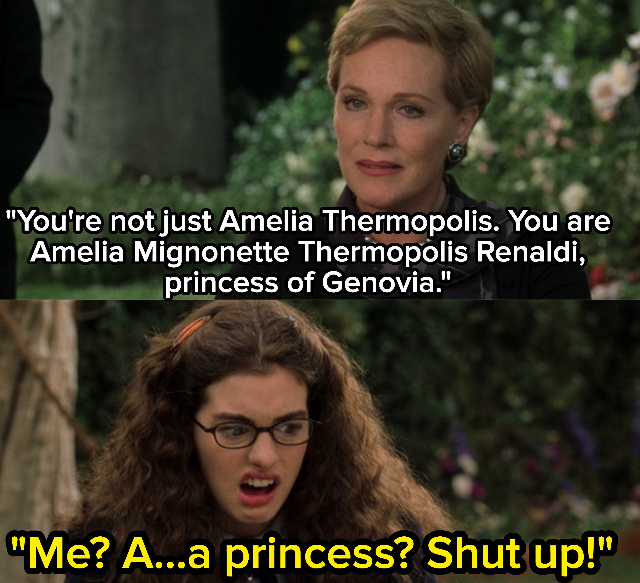 The Princess Diaries Funny Moments Ranked List