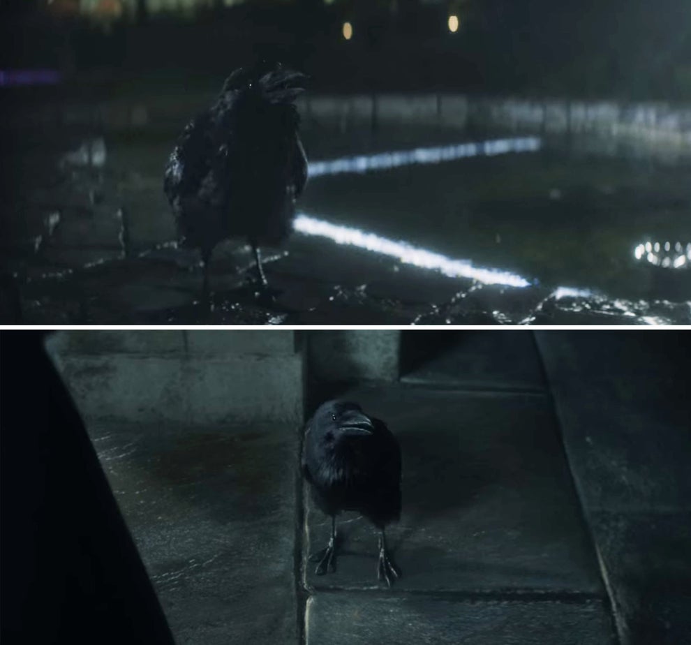 15 The Sandman On Netflix Cast Photos Then Vs Now