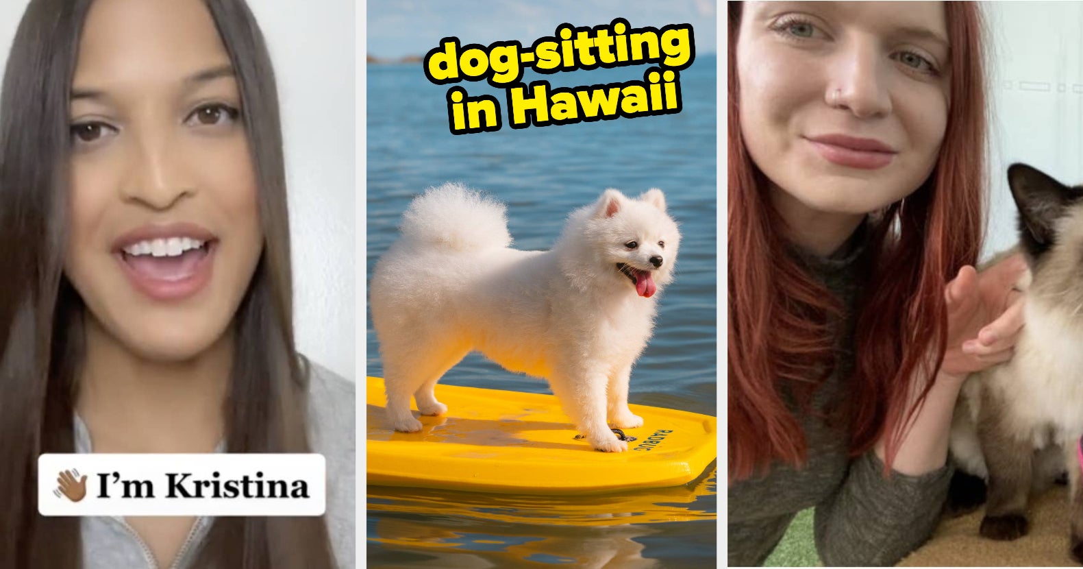 Tips For How To How To Pet-Sit Internationally