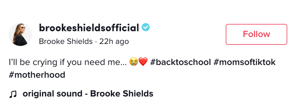 Brooke Shields Can't Stop Crying After Her Daughter Left For College