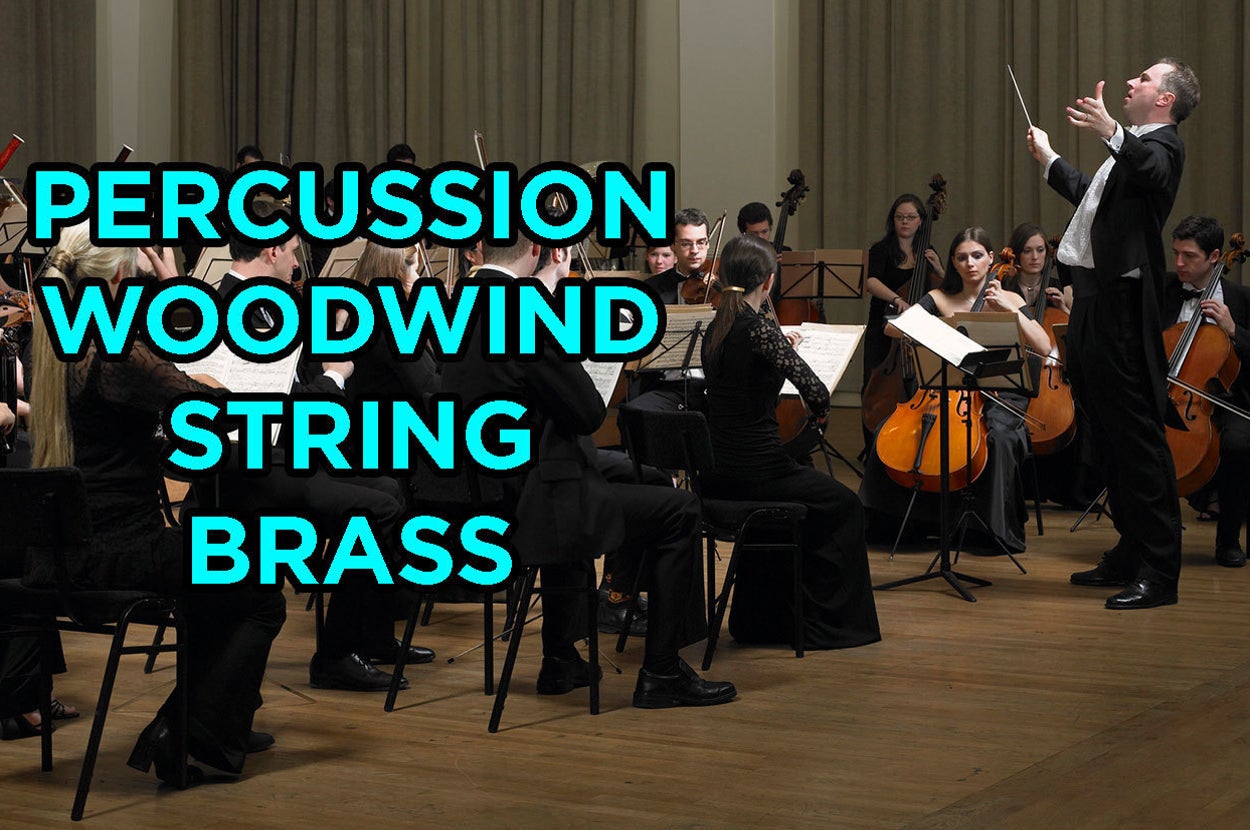 orchestra instruments quiz