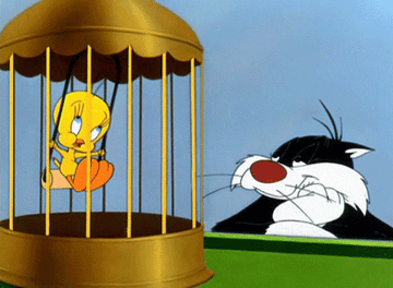 24 Most Iconic Cartoon Cats Of All Time