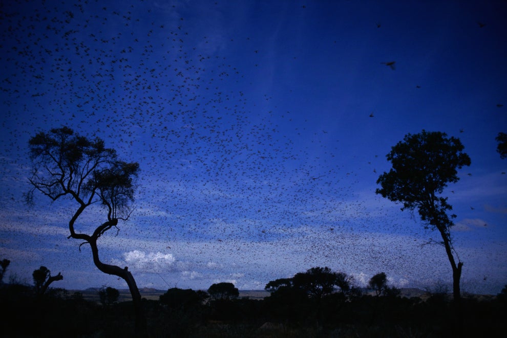 12 Nature Facts That Just Plain Scare Me