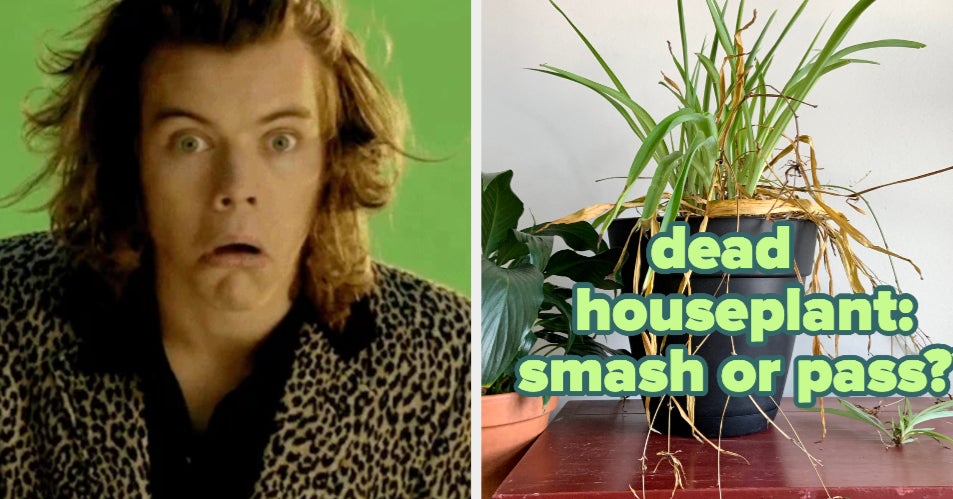 Household Objects Smash Or Pass