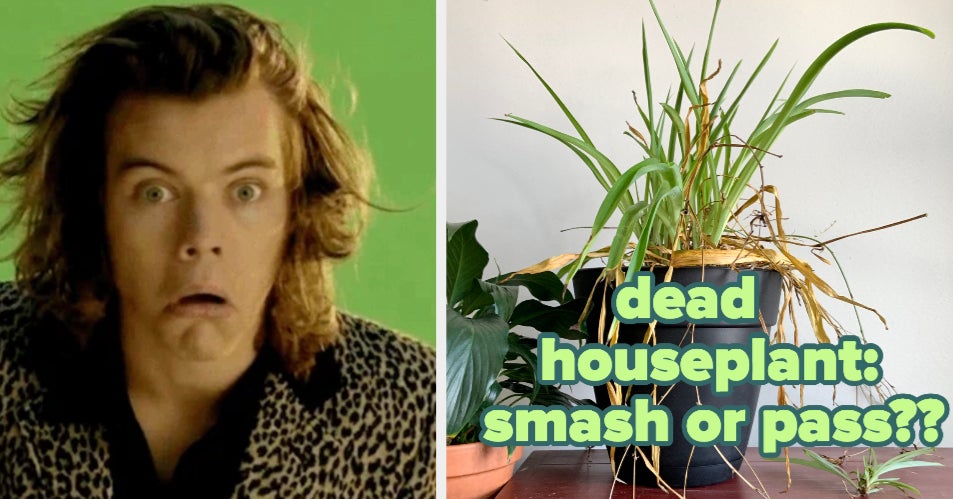 Household Objects Smash Or Pass