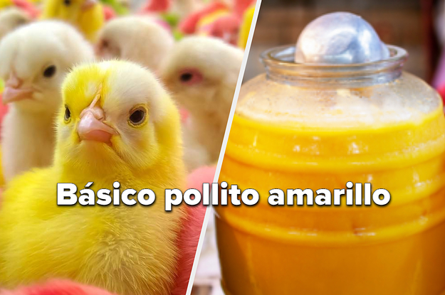 Planea un día en una feria de pueblo y te diremos qué color de pollito ...