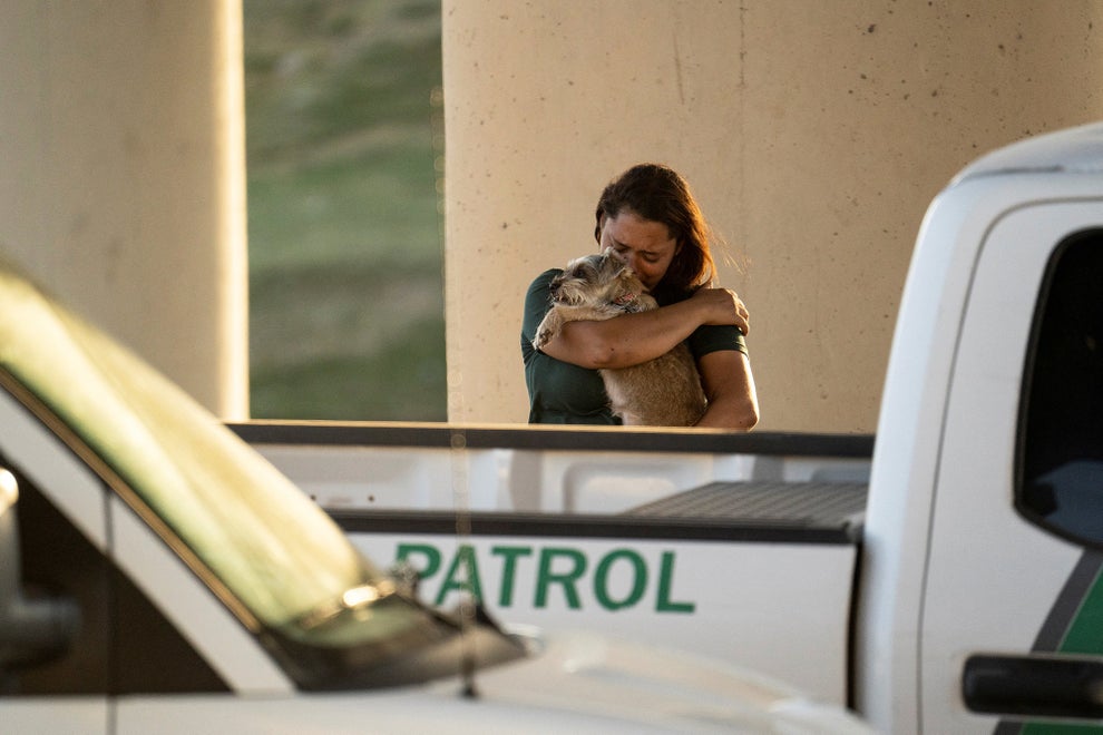 Volunteers Help Reunite Dogs With Immigrant Owners After They Get ...