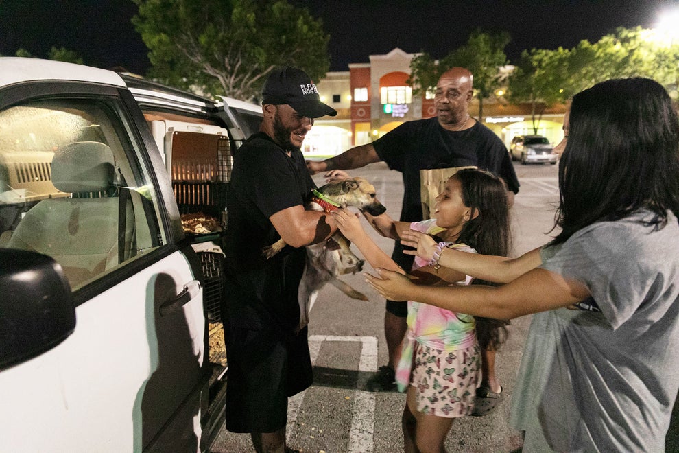 Volunteers Help Reunite Dogs With Immigrant Owners After They Get ...