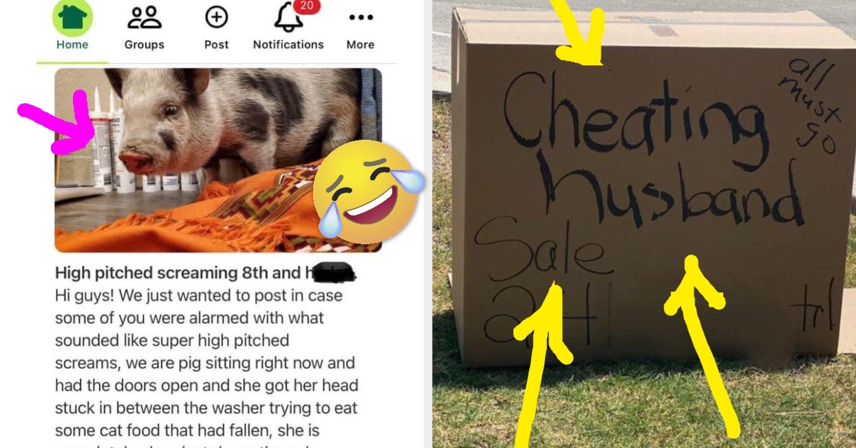 Seriously Funny Neighbors