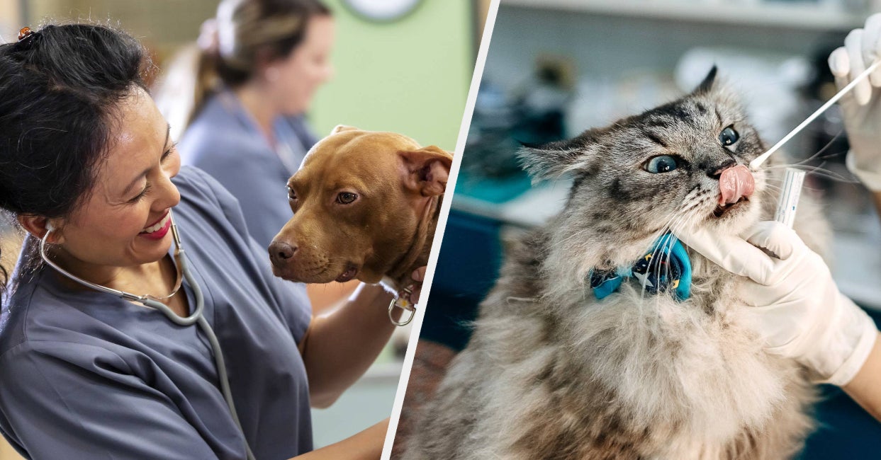 17 Tips People Who Work With Animals Want You To Know