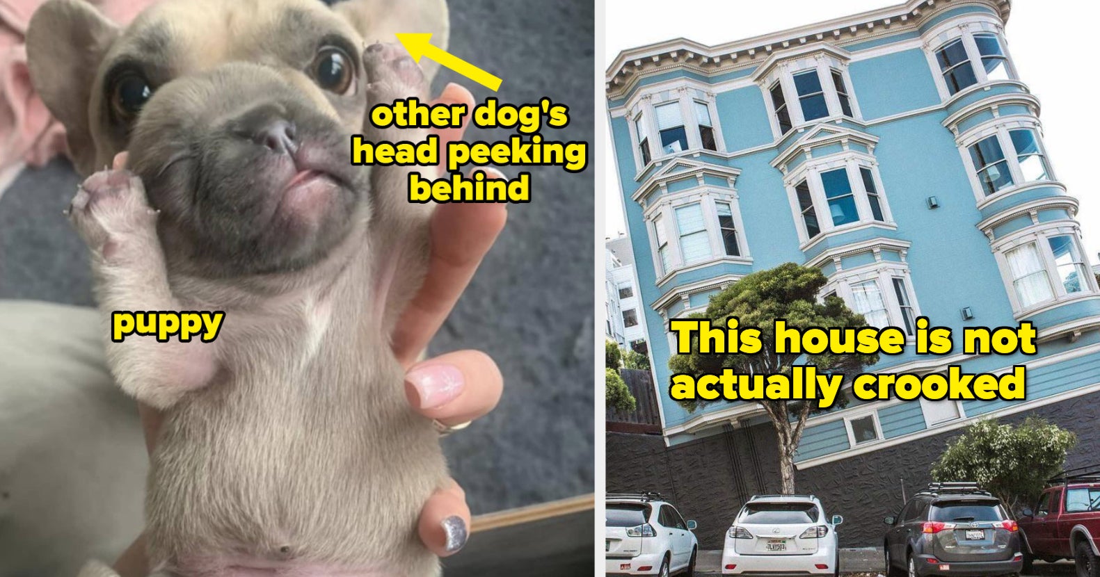 19 Confusing Perspective Images Reddit