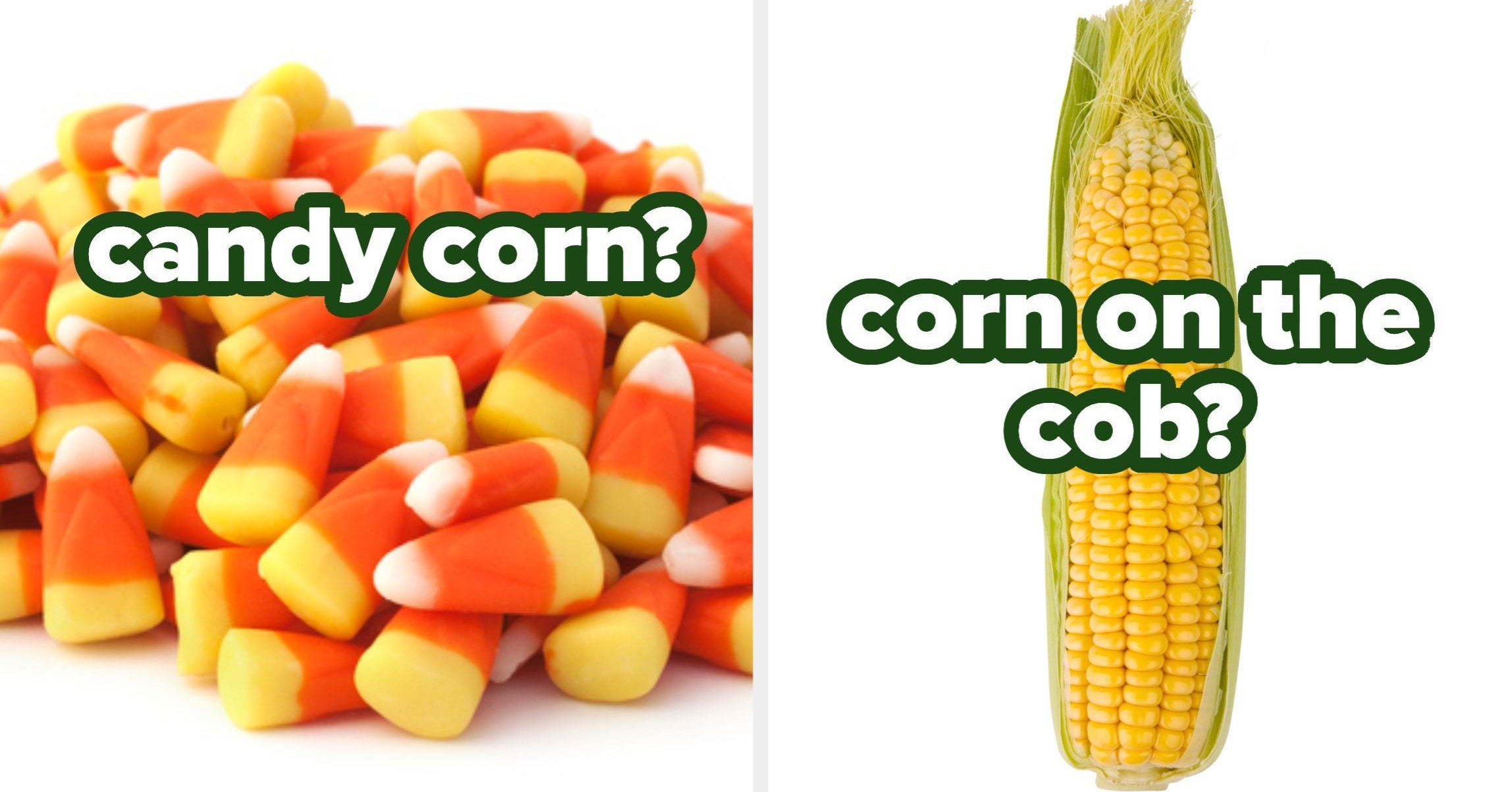 It's Corn! Let's See What Type Of Beautiful Lump Of Knobs You Are ...