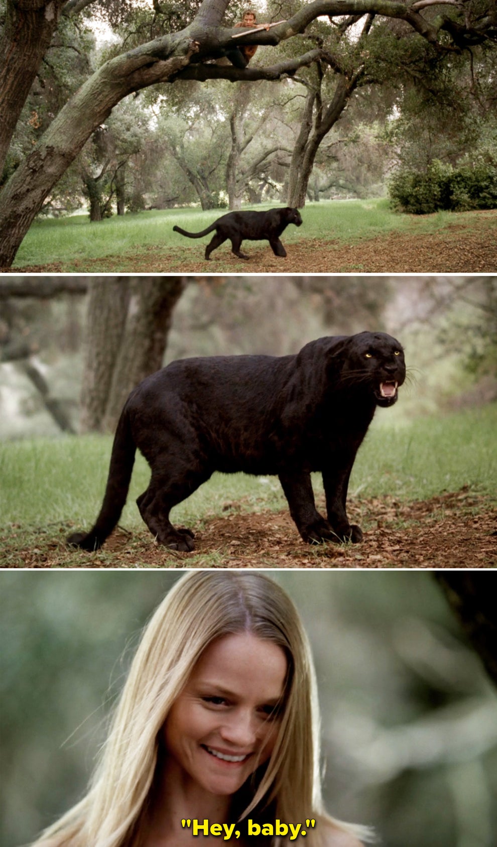 29 Bad TV Storyline People Want To Erase