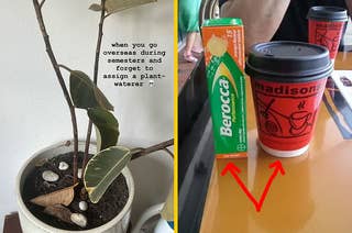 Ruby Derrick (rubyderrick) on BuzzFeed