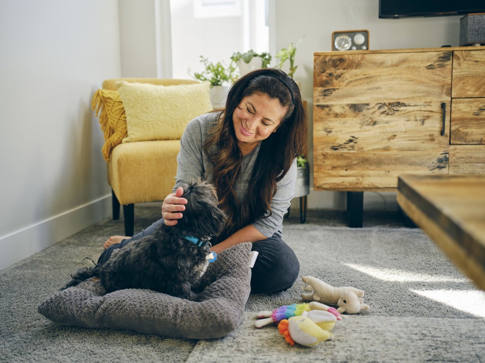 19 People Discuss How Dogs Have Impacted Their Lives