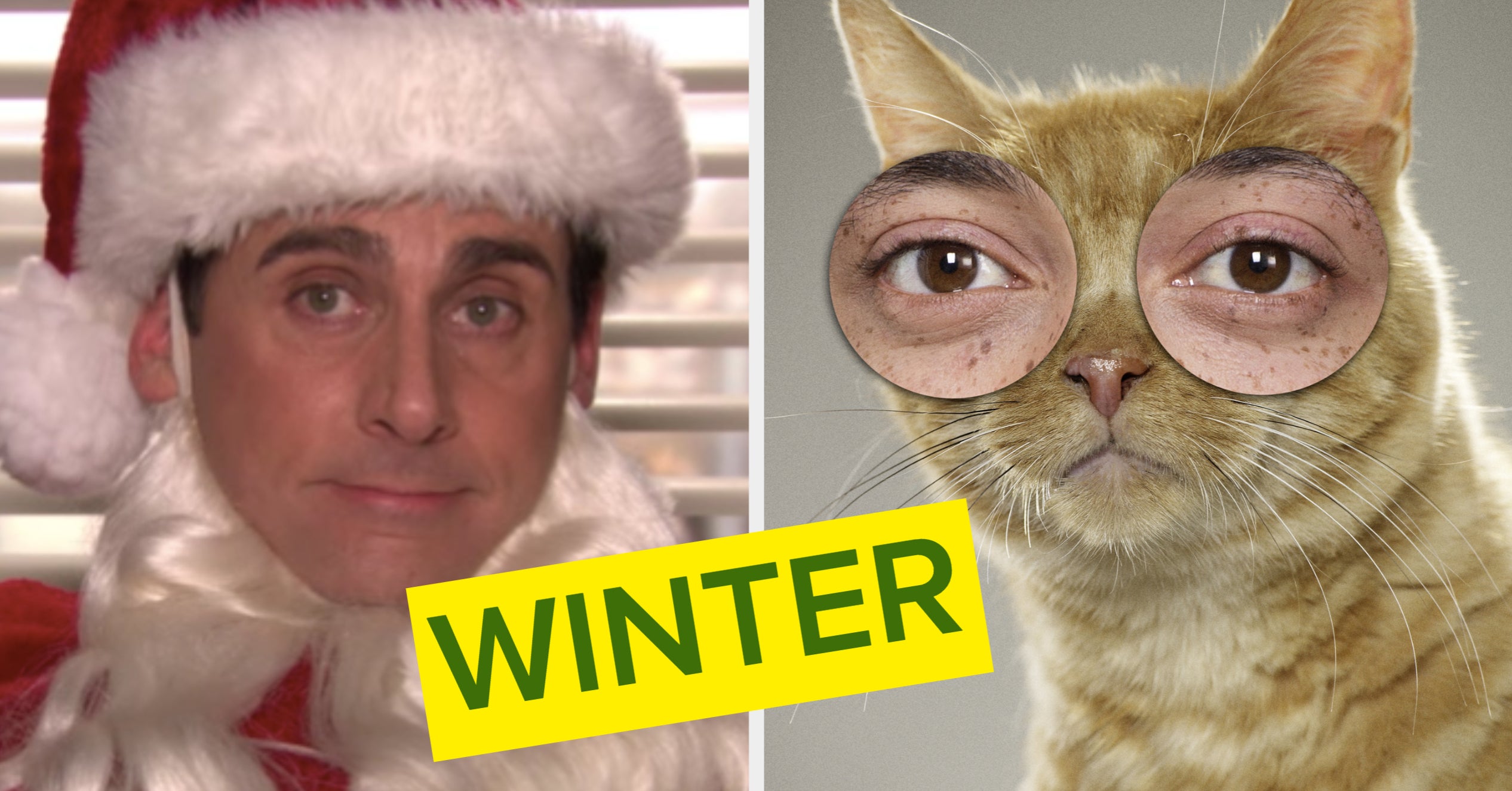 Choose Some Weird Photos And We'll Reveal Which Season You Are