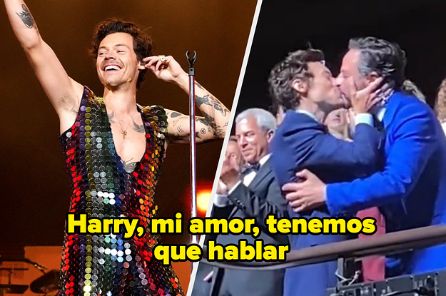 Harry Styles queerbaiting