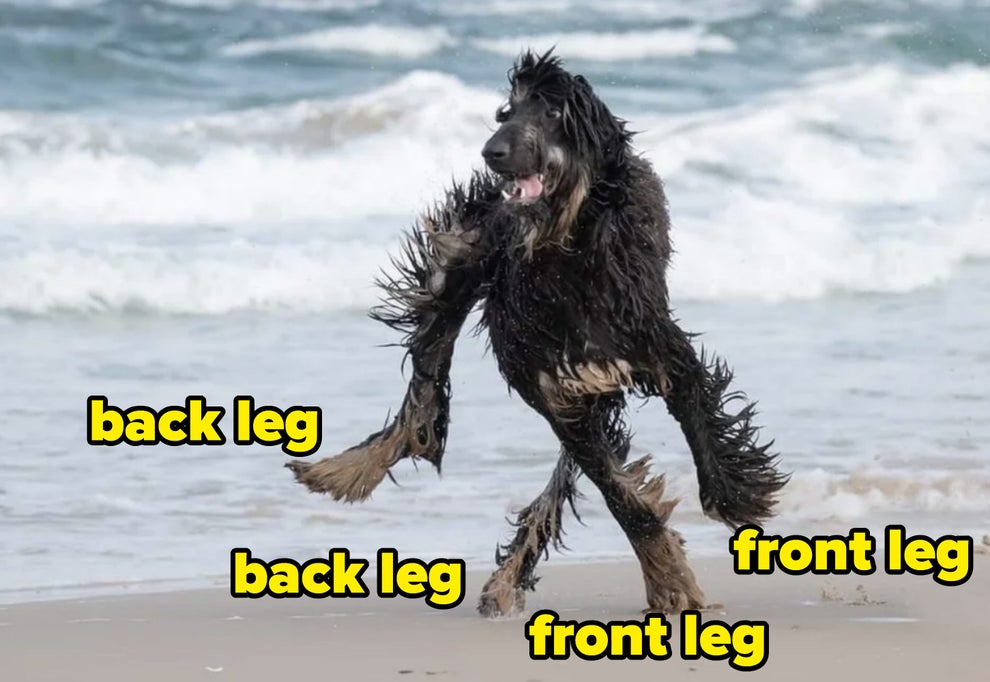 19 Confusing Perspective Images Reddit