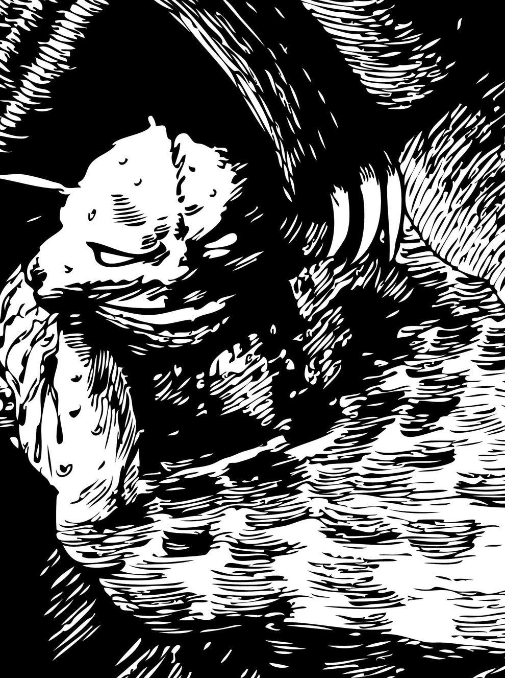 Stories Of People Who've Encountered Cryptids