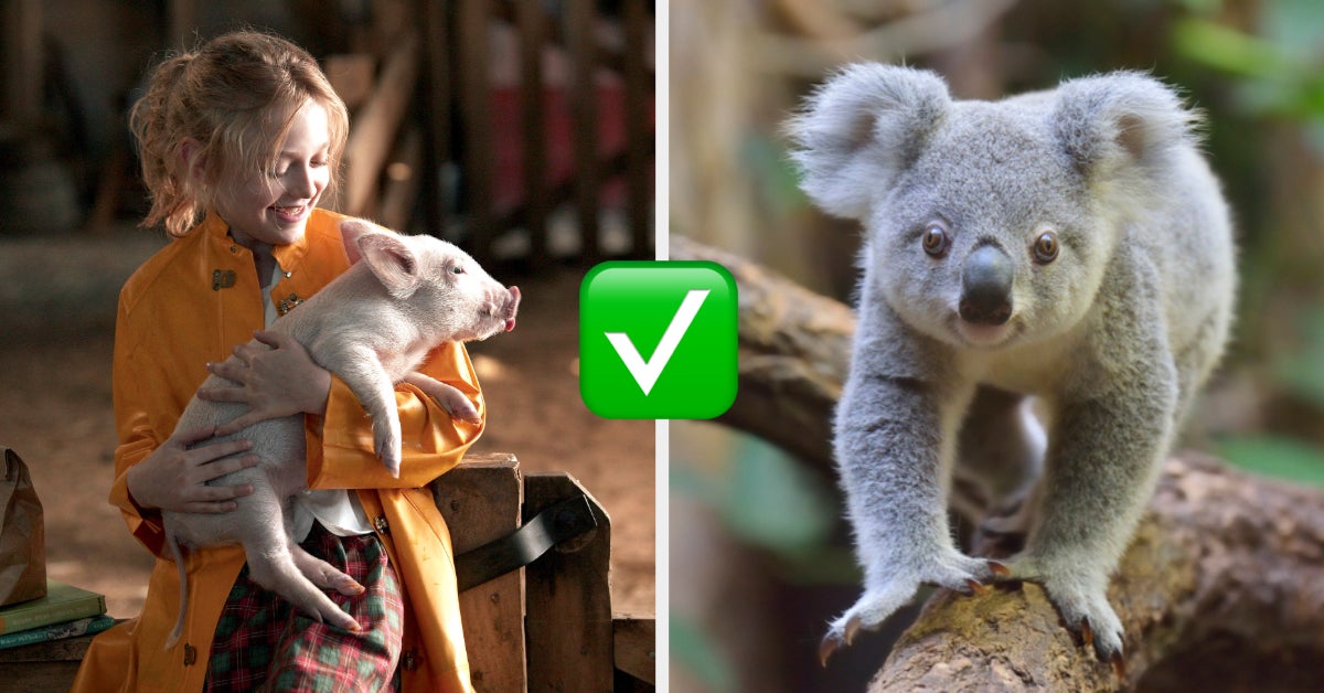 Animal Bucket List Checklist