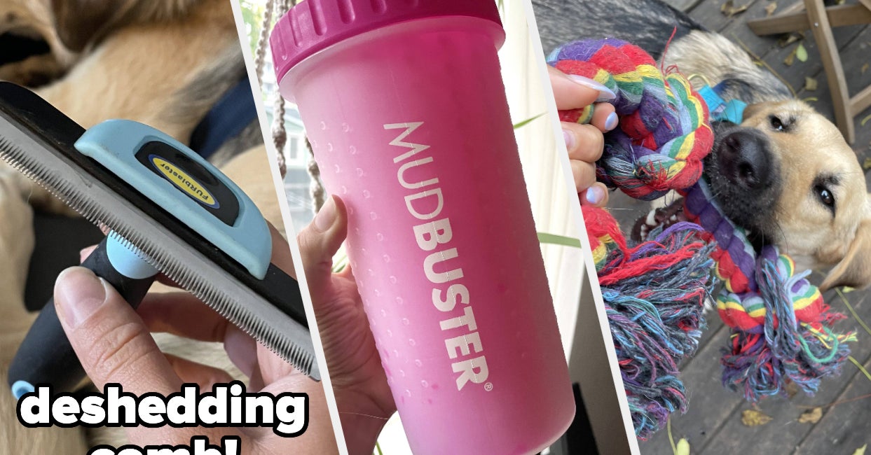 25 Best Dog Products On Amazon For Pet You Love