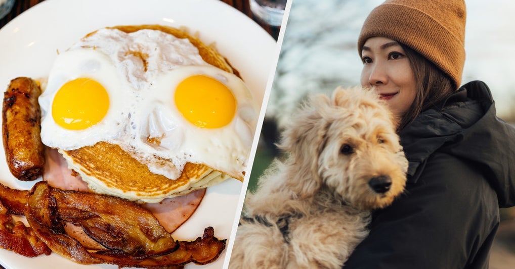 Eat Breakfast All Day To Reveal How Many Pets You'll Have
