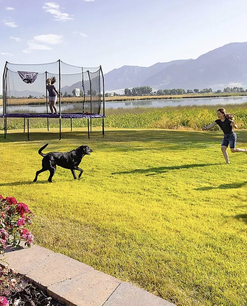 Sam's Club Online Super Savings Event