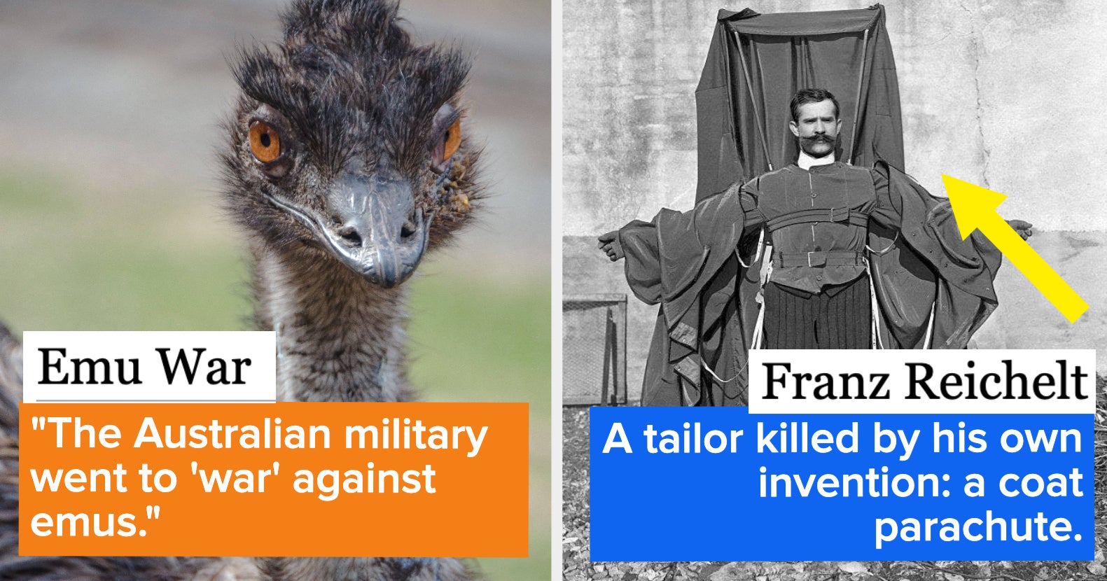 Funny Wikipedia Pages