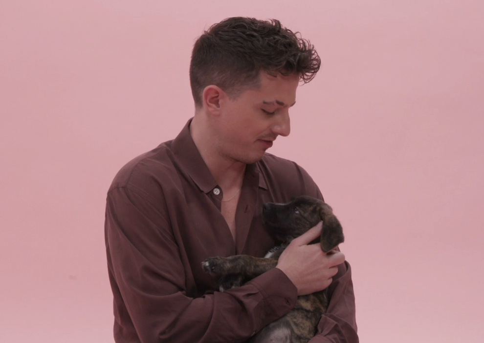 Charlie Puth Puppy Interview