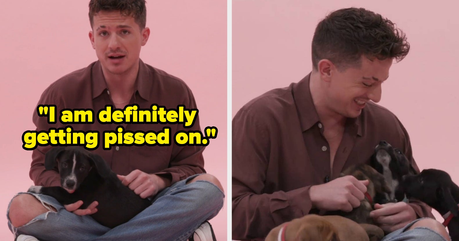 Charlie Puth Puppy Interview