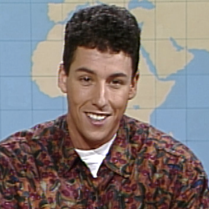 What "SNL" Cast Members Looked Like Then And Now