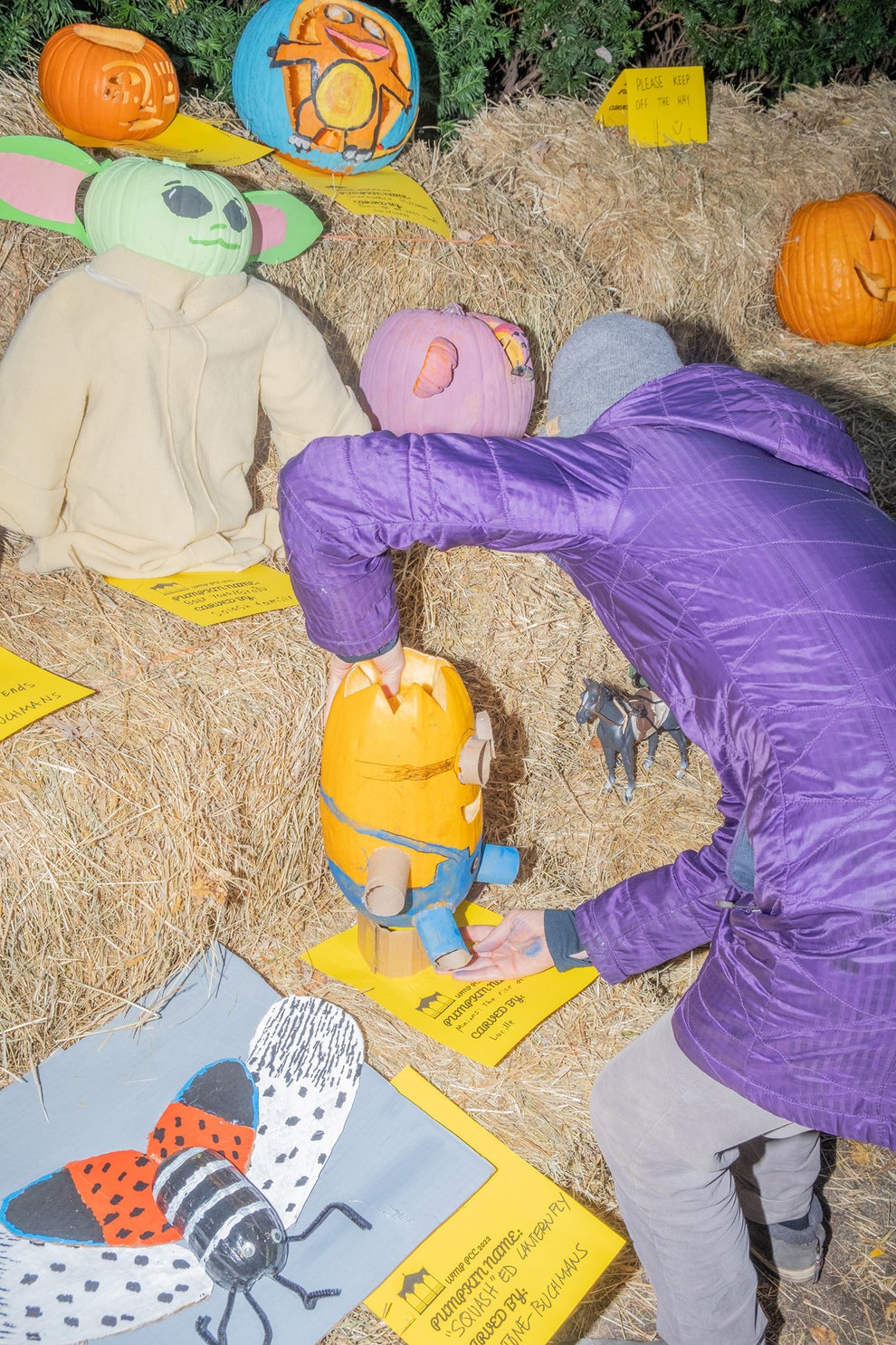 These Carved Pumpkins Are All Treat, No Trick