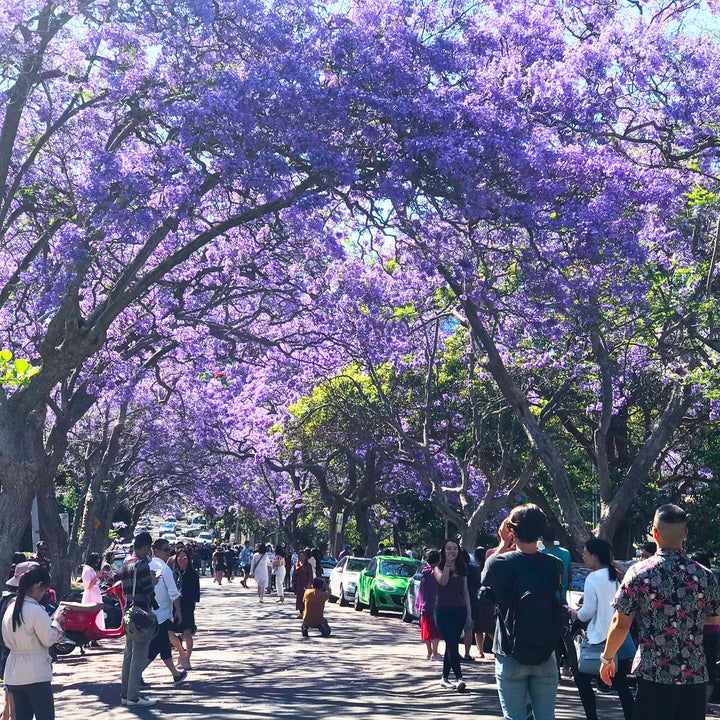 Subtle Traits That Define The Australian Springtime