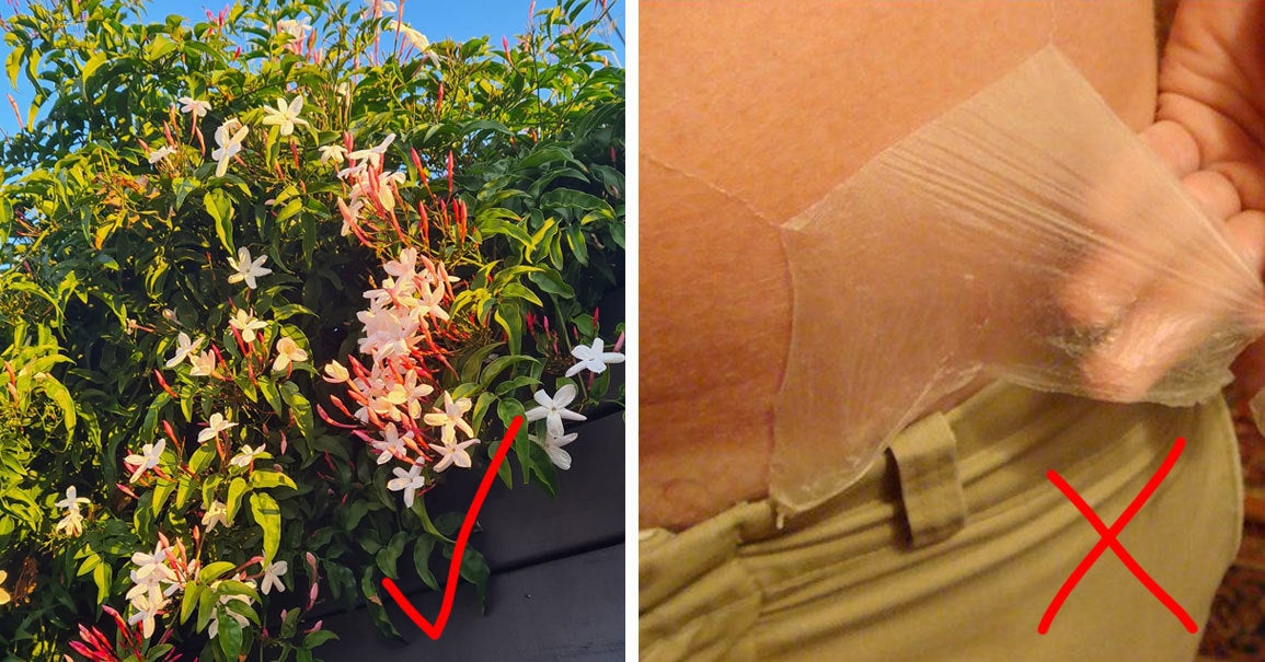 Subtle Traits That Define The Australian Springtime