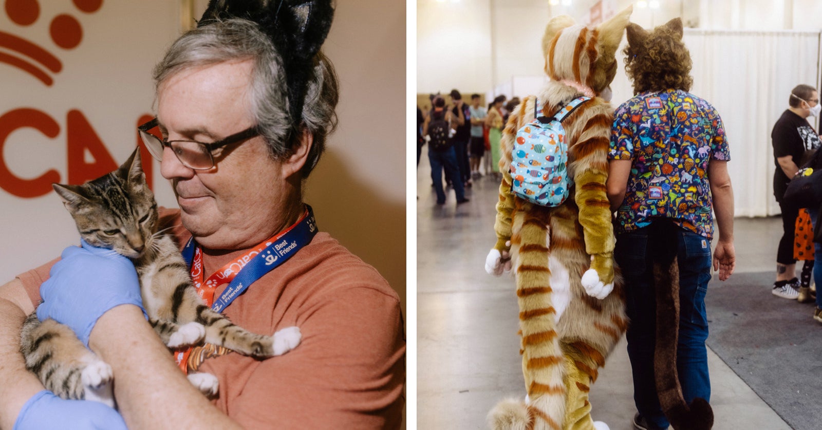 Photos From CatCon, The Biggest Convention For Cat Fans