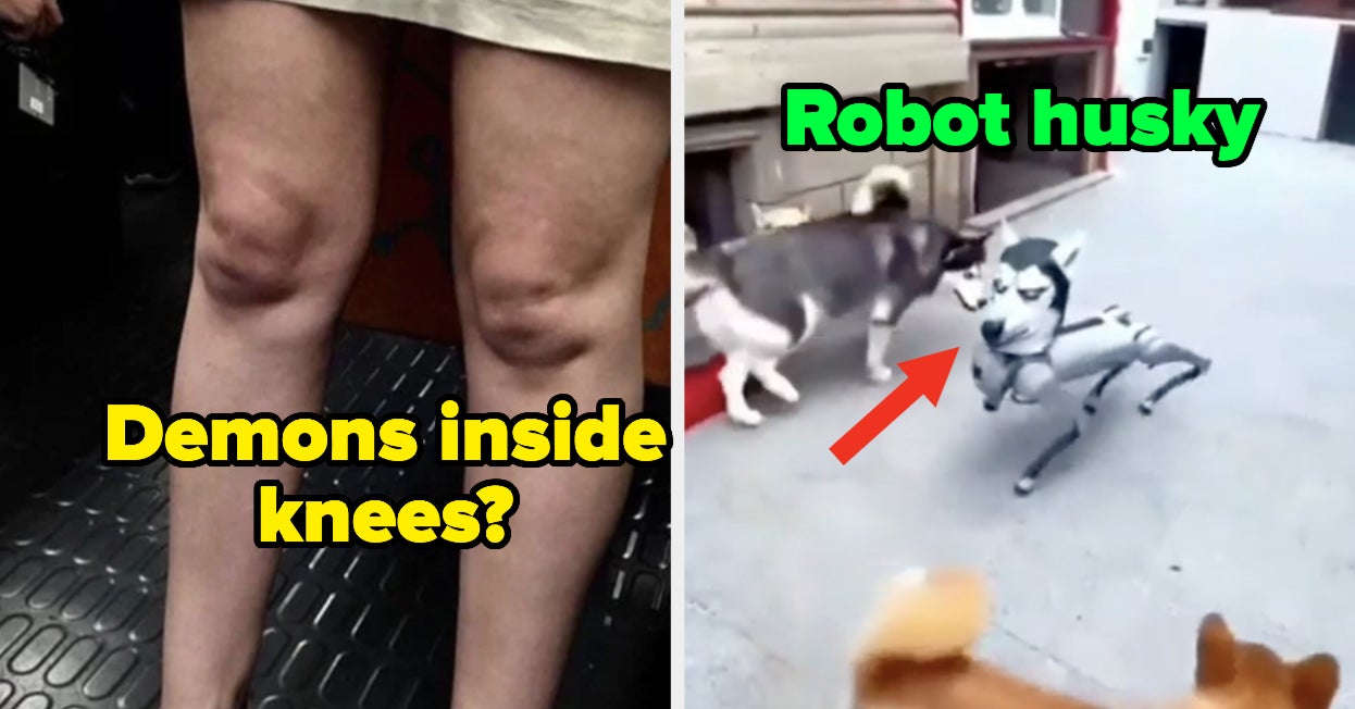 18 Petrifying Photos That Are Super Scary For No Reason