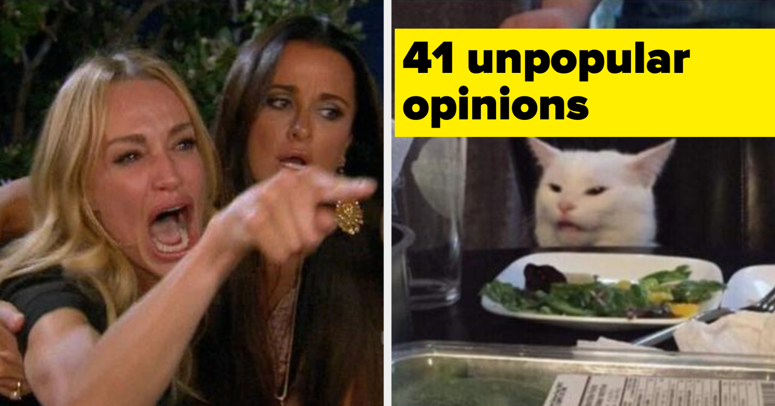 Unpopular Opinion Meme