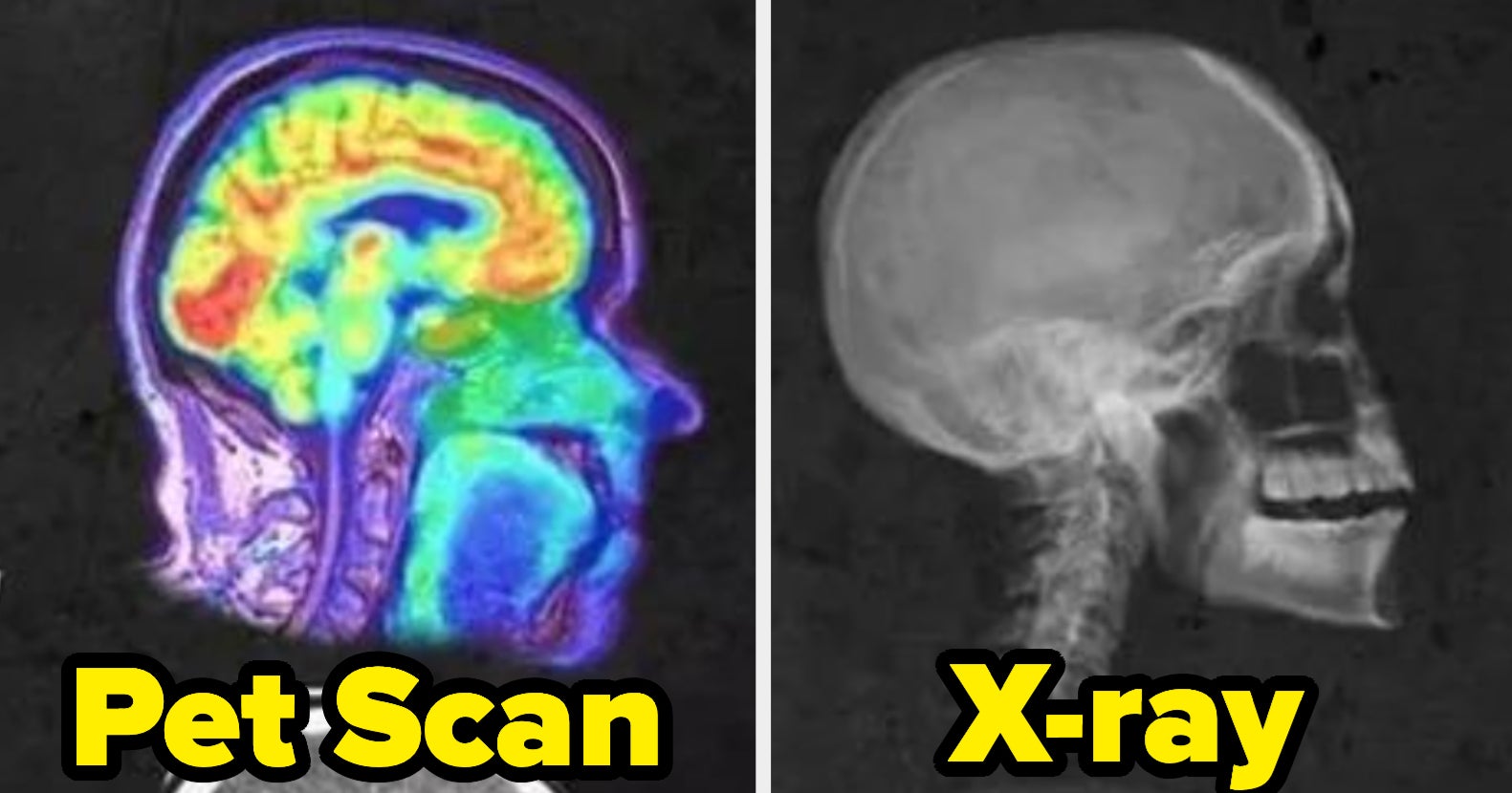 21 Fascinating And Weird Charts About Your Body