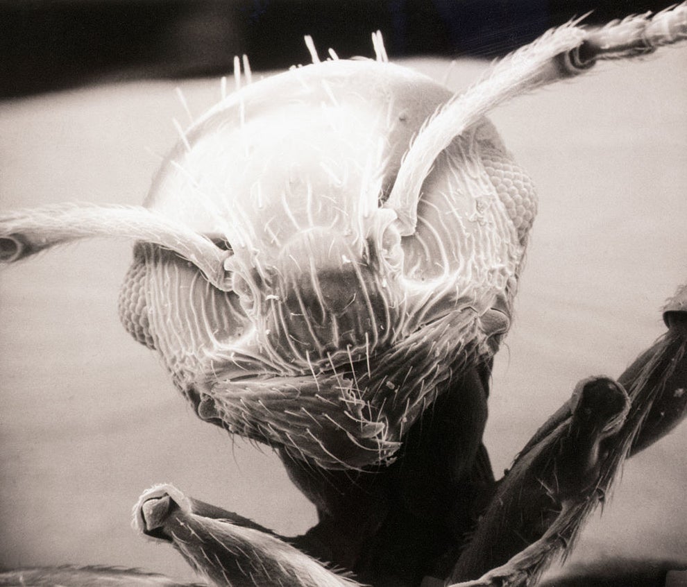 50 Extremely Fascinating Pictures That Will Completely And Totally Change Your Perspective On ...