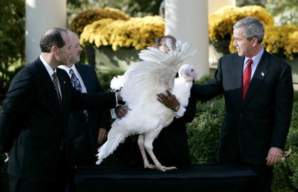 Official Ranking Of Pardoned Turkeys