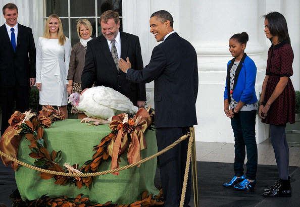 Official Ranking Of Pardoned Turkeys