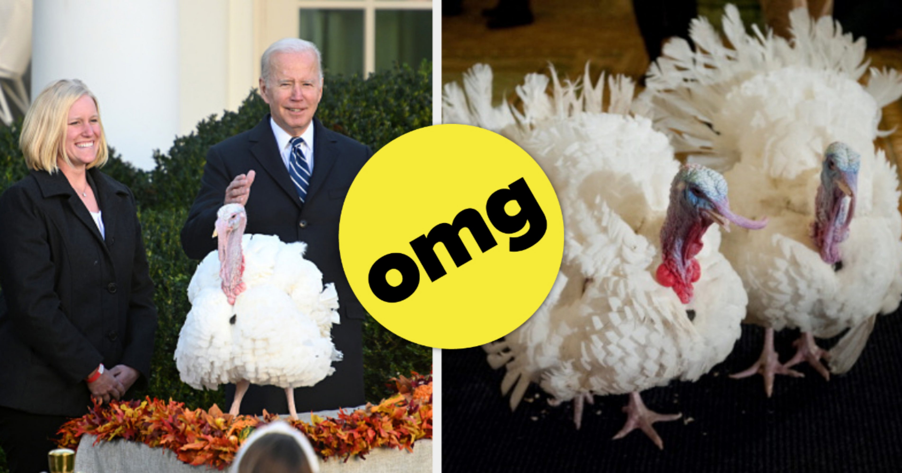 Official Ranking Of Pardoned Turkeys