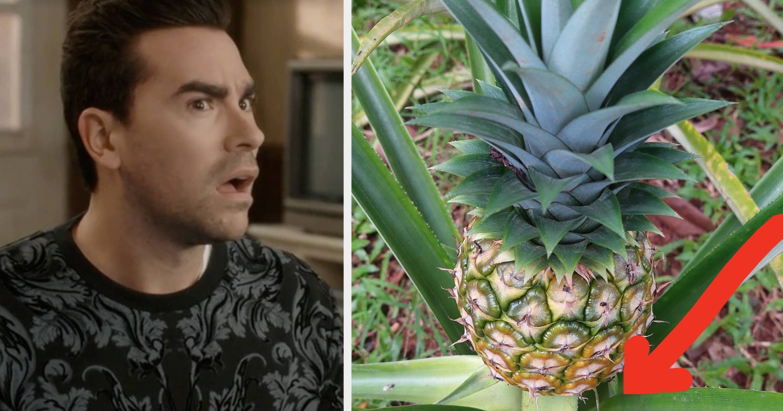 Common Things That Aren't Actually True At All