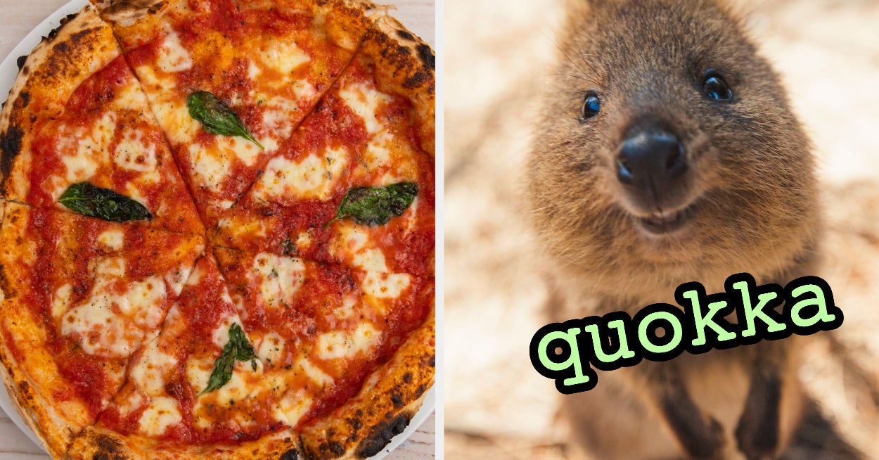 Food Quiz: Oder Meal See Which Animal You Are