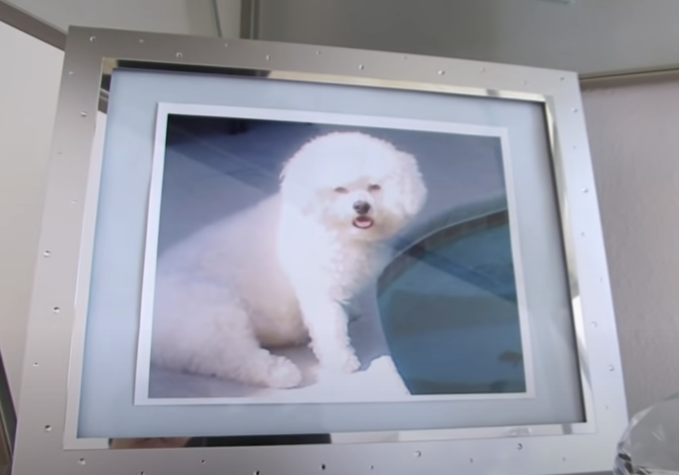 18 People Share Their Worst Thanksgiving Ever