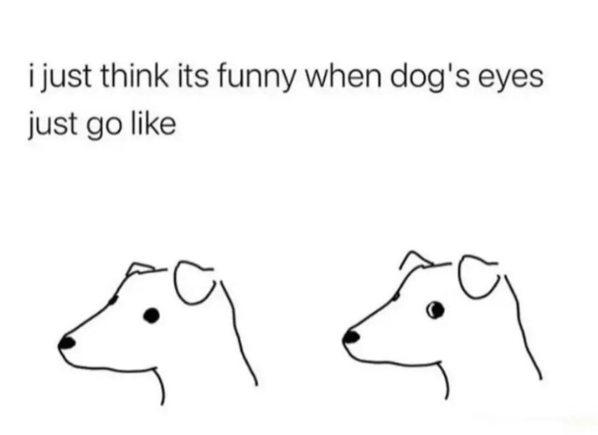 Memes About Having A Dog That I Can't Help But Belly Laugh At