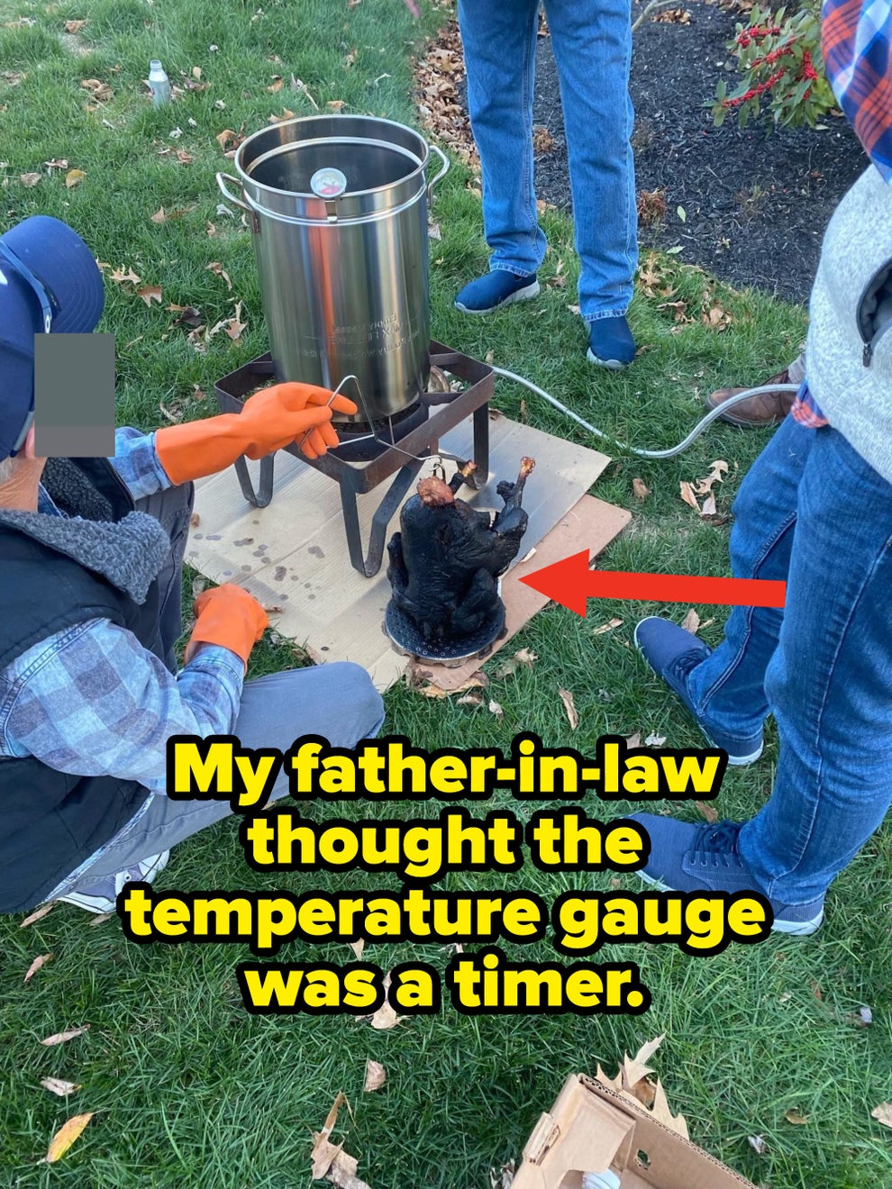 50 Pictures That Prove Human Beings As A Species Are Definitely Not ...