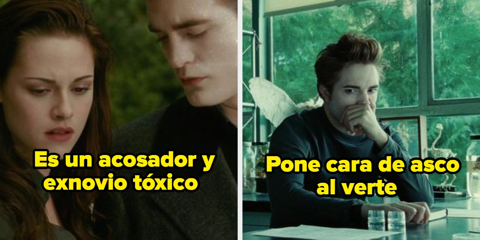 Edward Y Bella En El Bosque